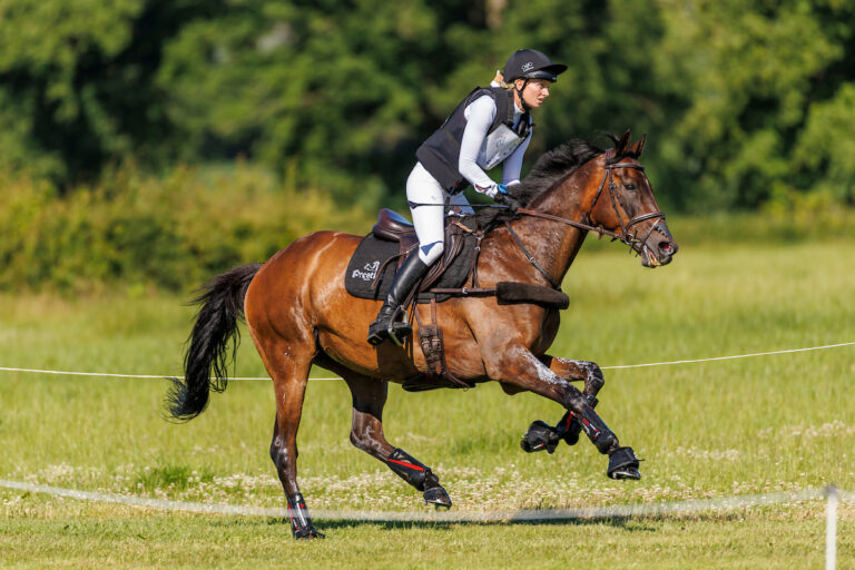 Impressum – Der Deutsche Reiter- und Fahrer-Verband und seine Fachgruppen