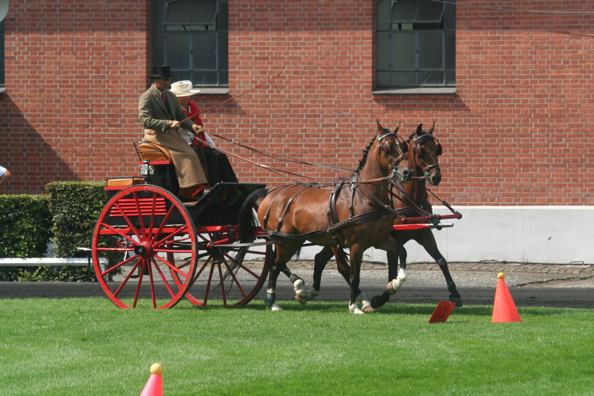 DRFV – Deutscher Reiter- und Fahrerverband